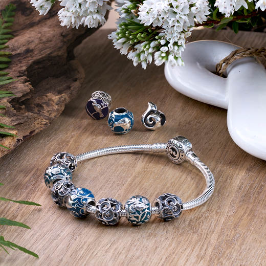 Evolve Koru Charm Bracelet | Silver Charm Bracelets | Evolve Inspired ...