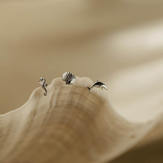 Mini Scallop Studs (Iconic) – Evolve Inspired Jewellery